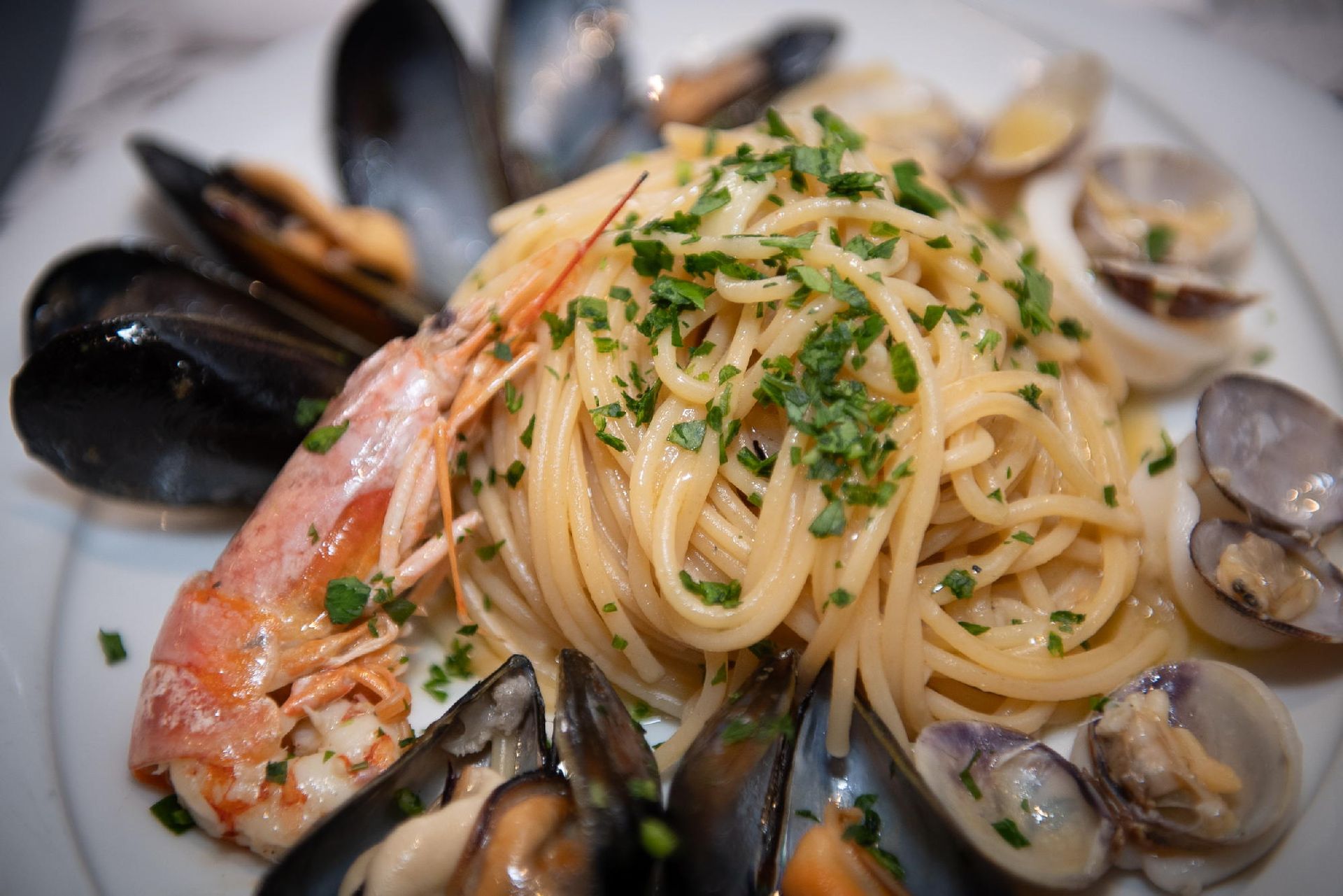 Traditional Italian Cuisine | Rome | Ristorante Volare