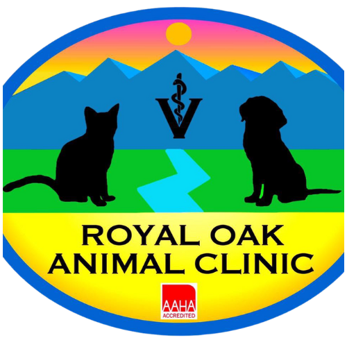 Front Royal Rotary Club