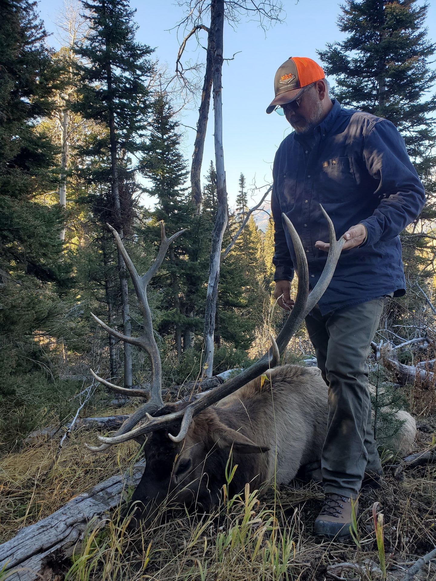 WYOMING ELK HUNTING | NON-TYPICAL OUTFITTERS