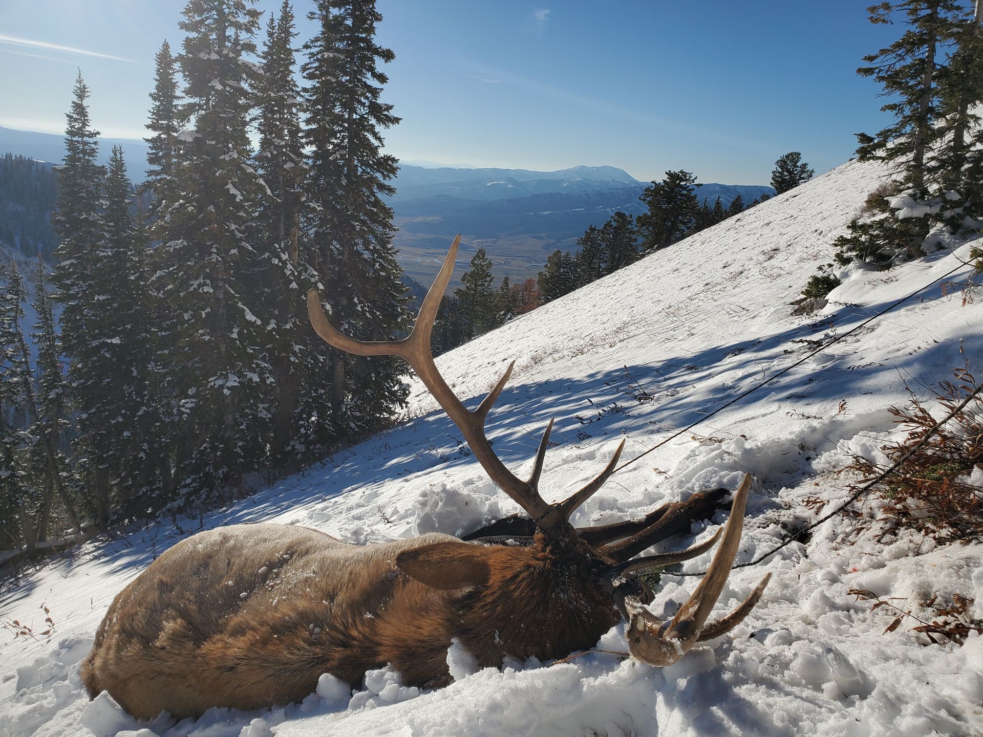 WYOMING ELK HUNTING | NON-TYPICAL OUTFITTERS
