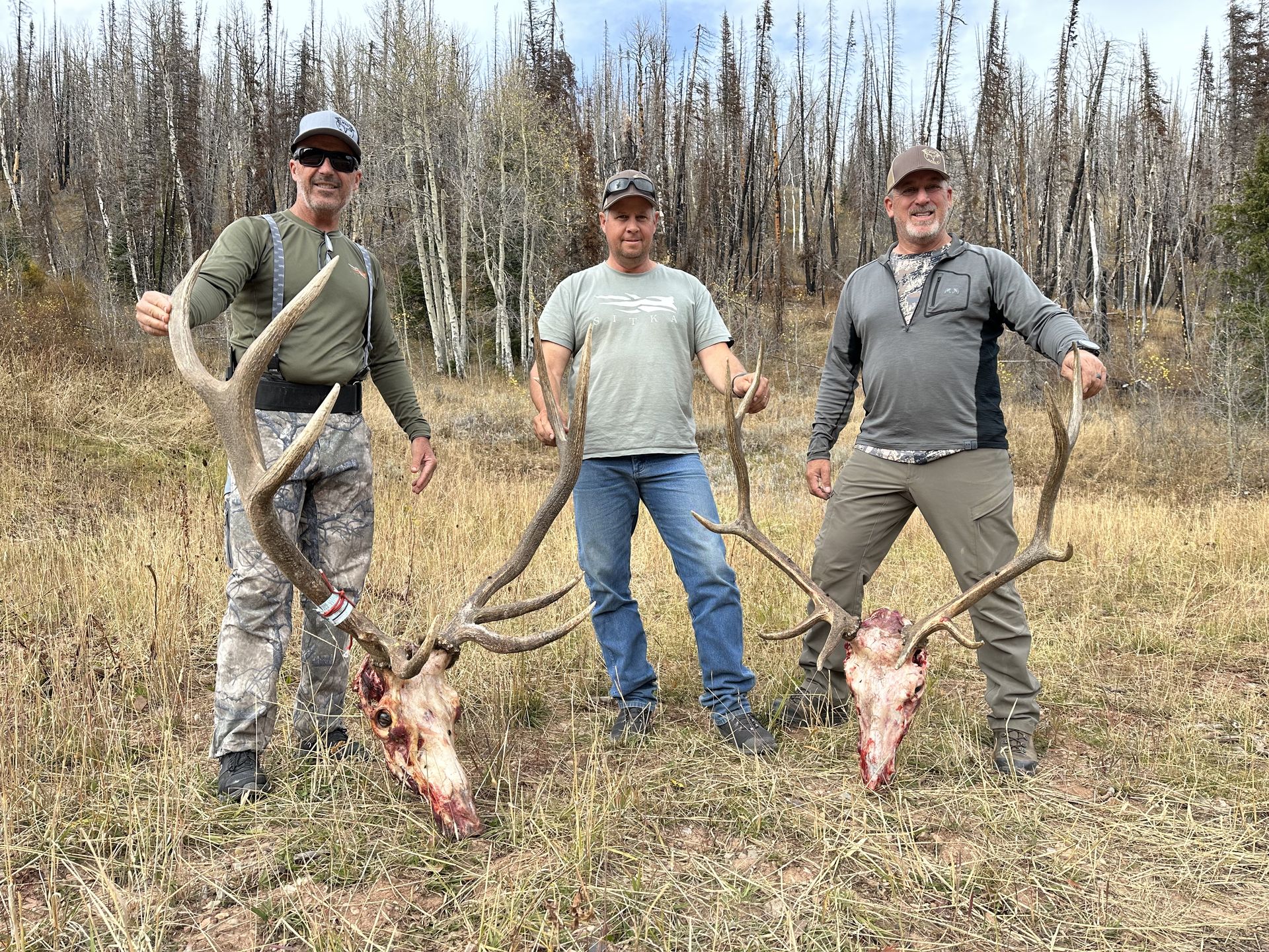 WYOMING ELK HUNTING | NON-TYPICAL OUTFITTERS