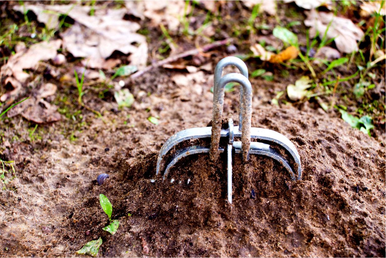 The TRUTH About Moles and Grubs!