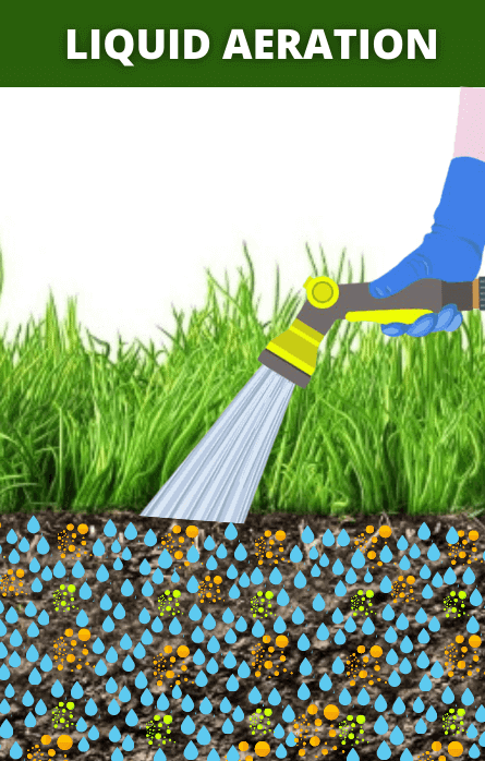 Aeration | Custom Personalized Lawn Care