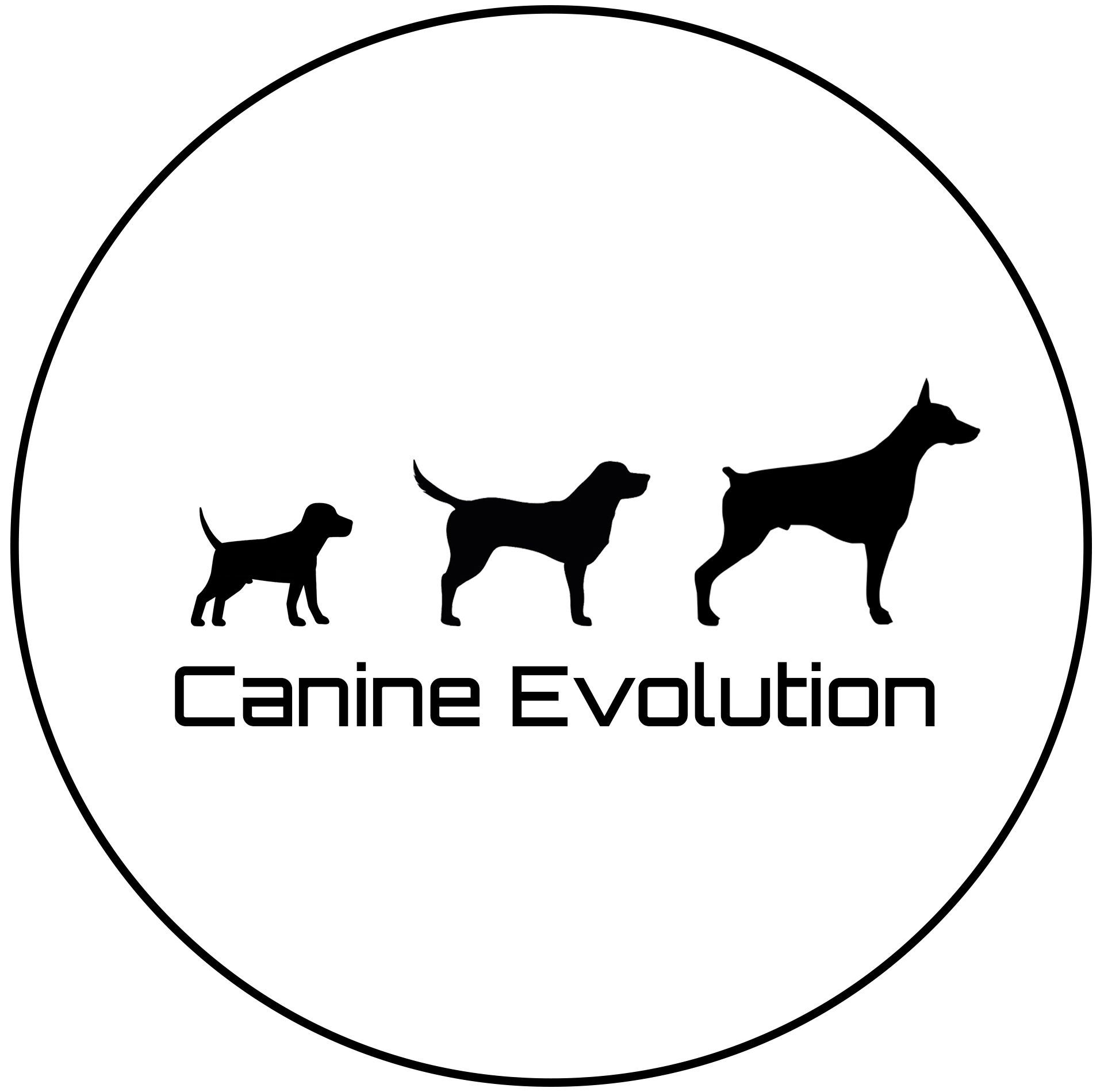 Canine Evolution