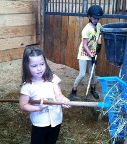 Horse Riding Camps in New Orleans, LA • Cascade Stables • Audubon Park