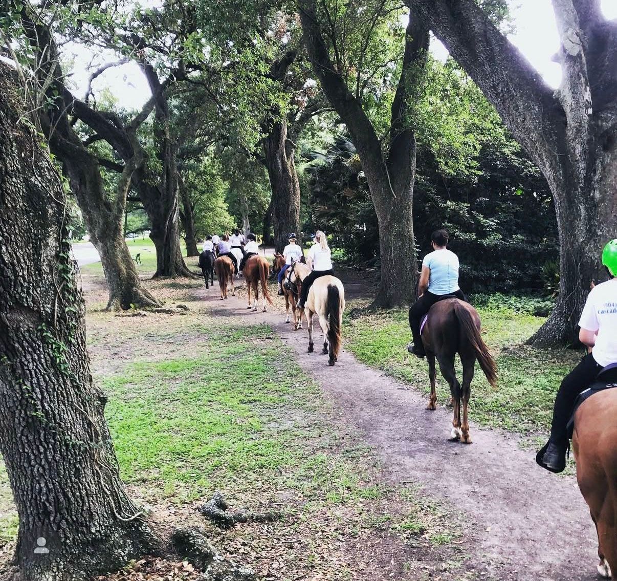 New Orleans Trail Rides at Audubon Park • New Orleans, LA