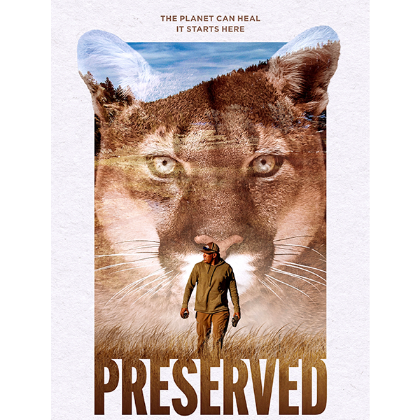 Auburn State Theatre – PRESERVED