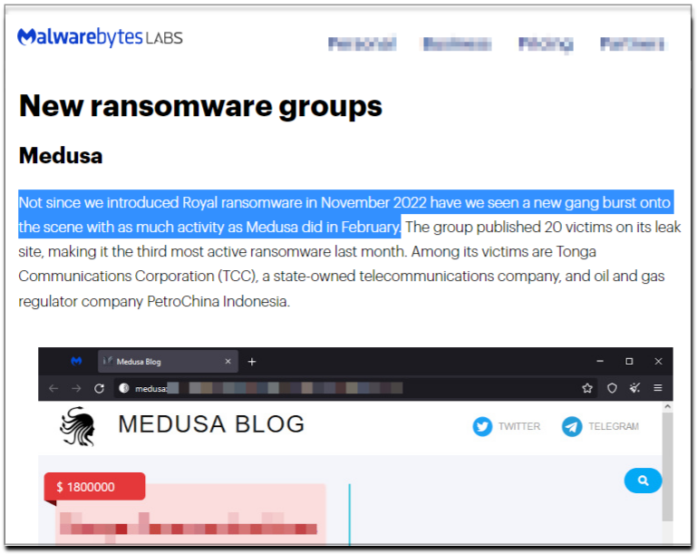 MEDUSA 'BLOG' RANSOMWARE HACE OTRA VICTÍMA EN LATINOAMÉRICA