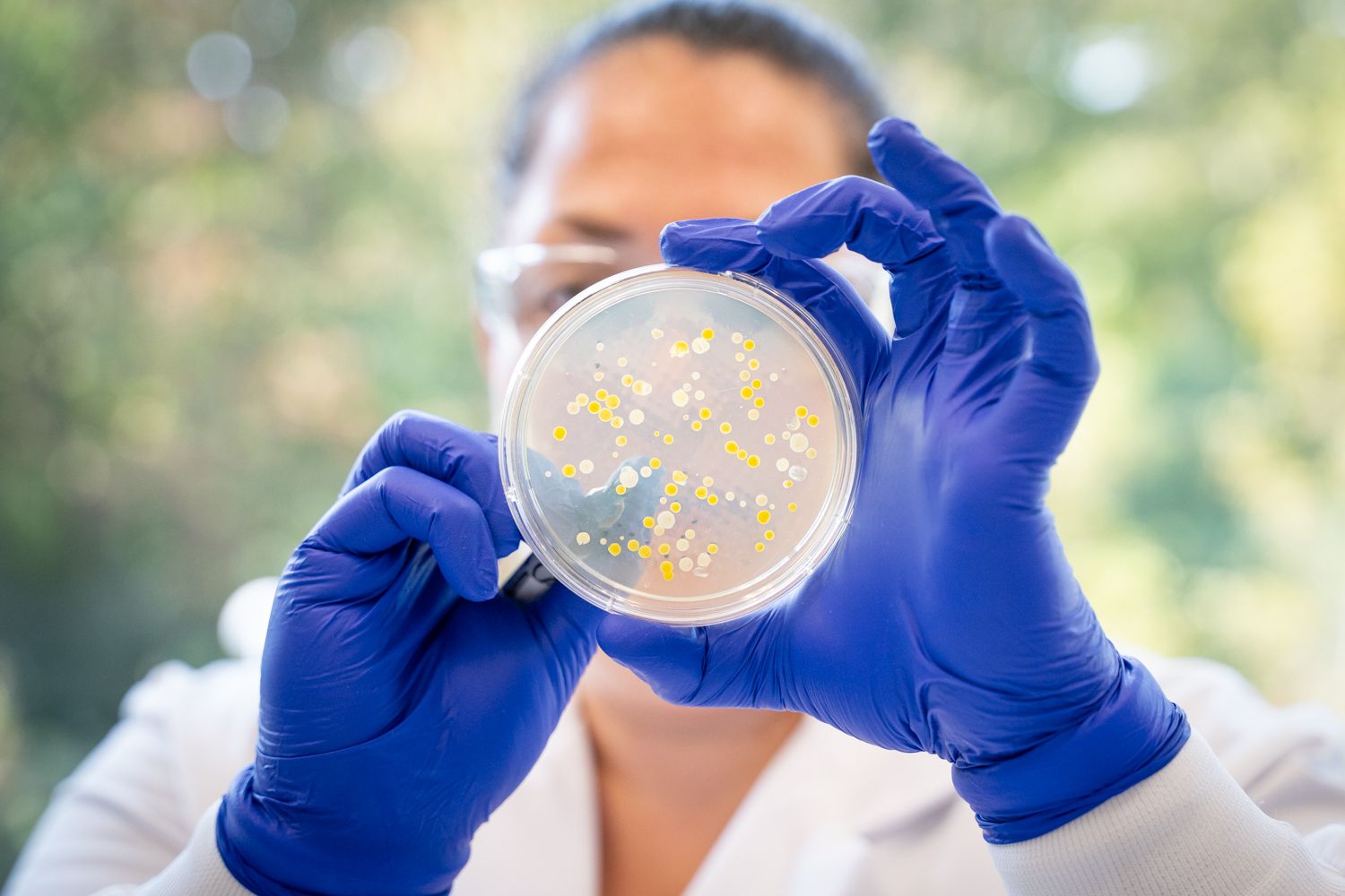 Biologics Manufacturing & Development, Laval