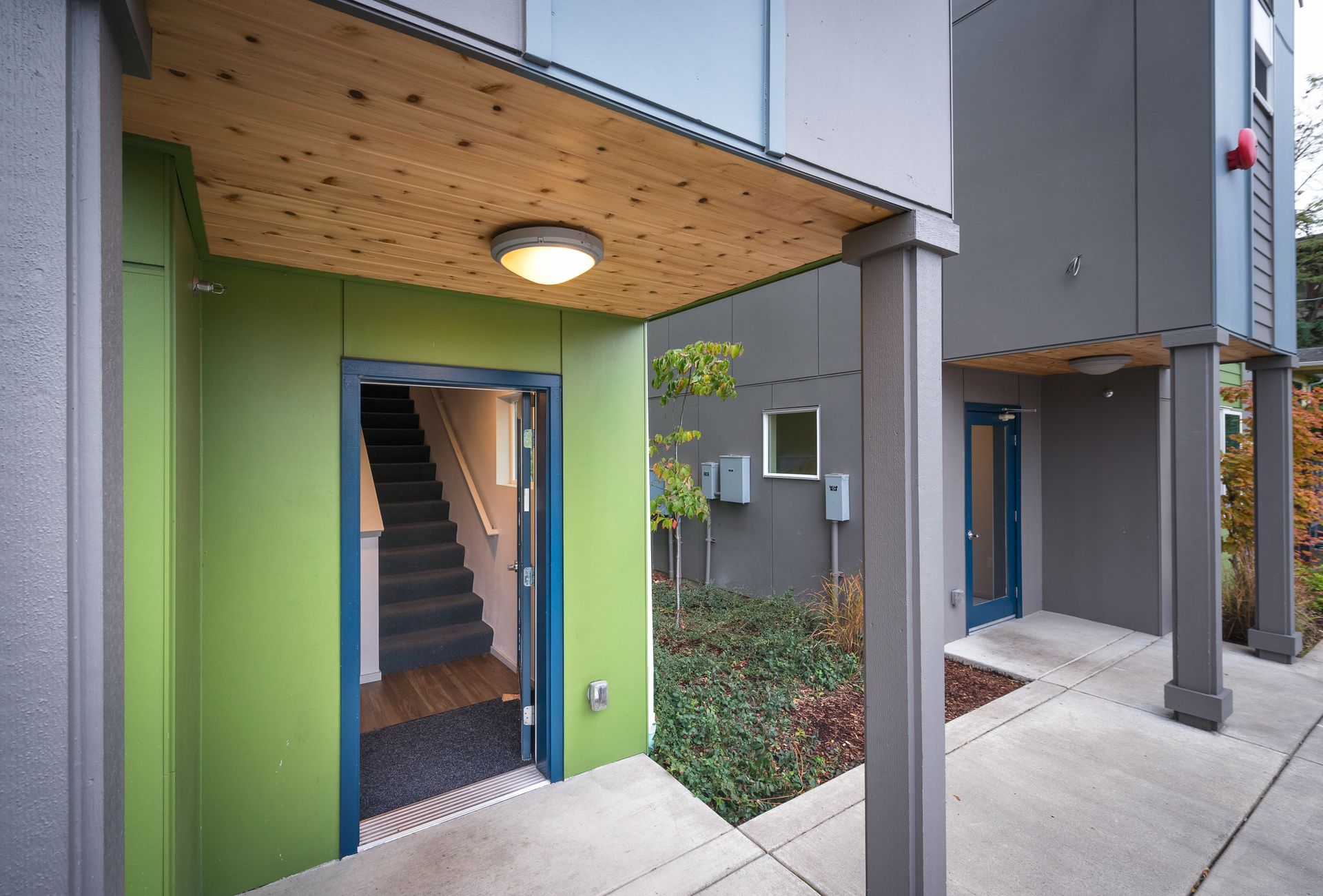 Seattle Property | Arboreal Management | WA