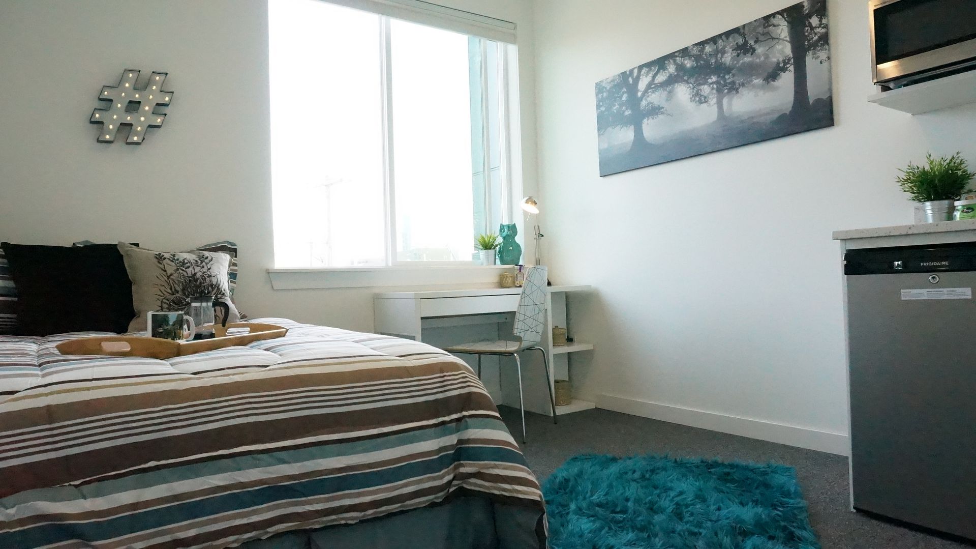 Seattle Property | Arboreal Management | WA