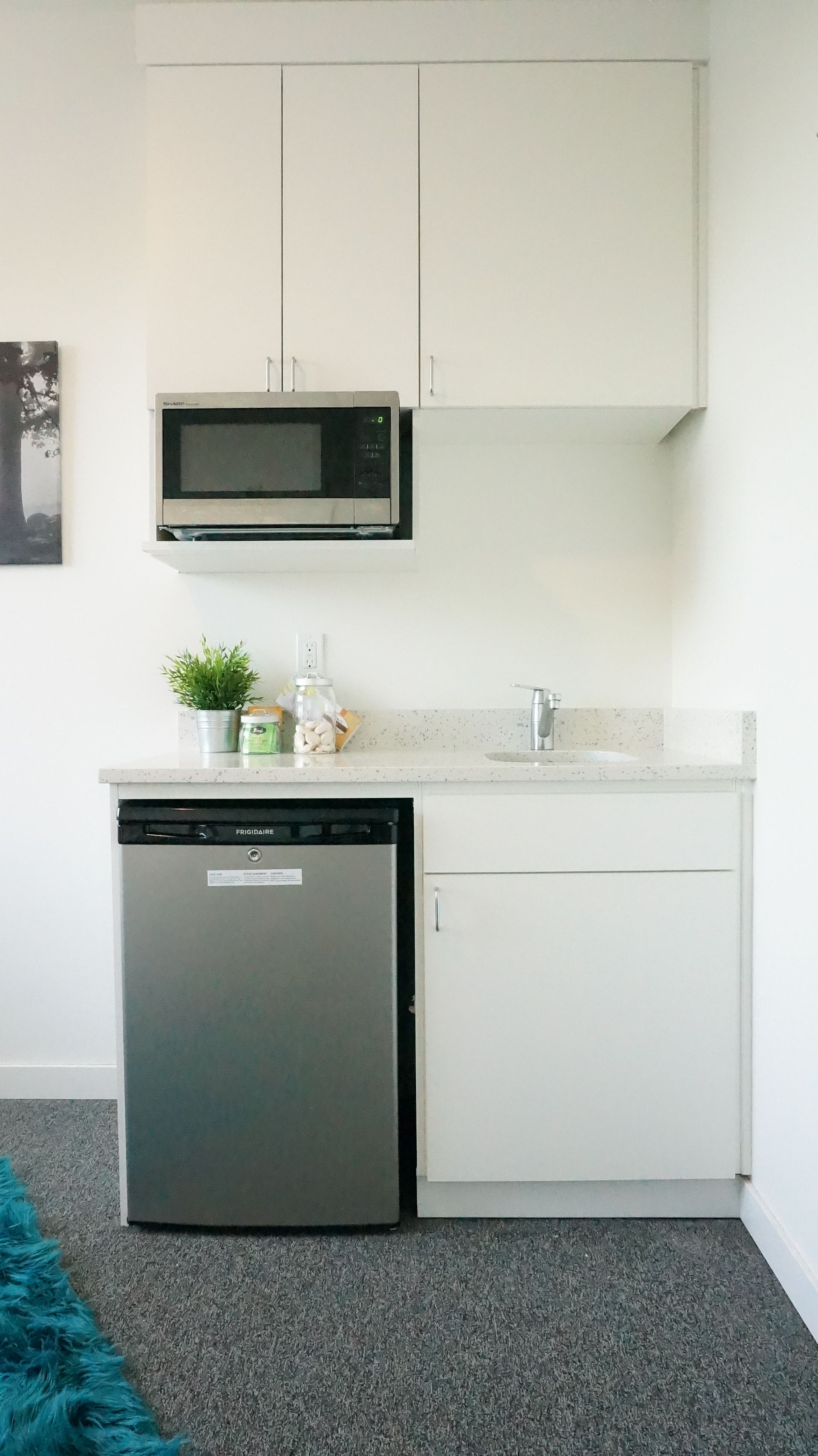 Seattle Property | Arboreal Management | WA