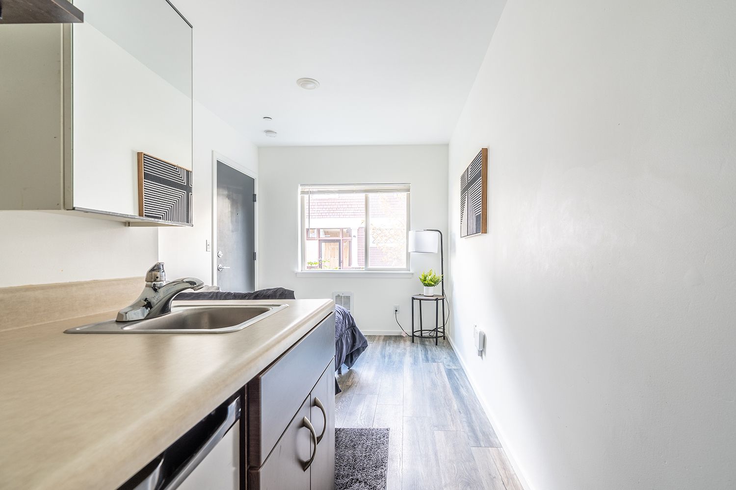 Seattle Property | Arboreal Management | WA