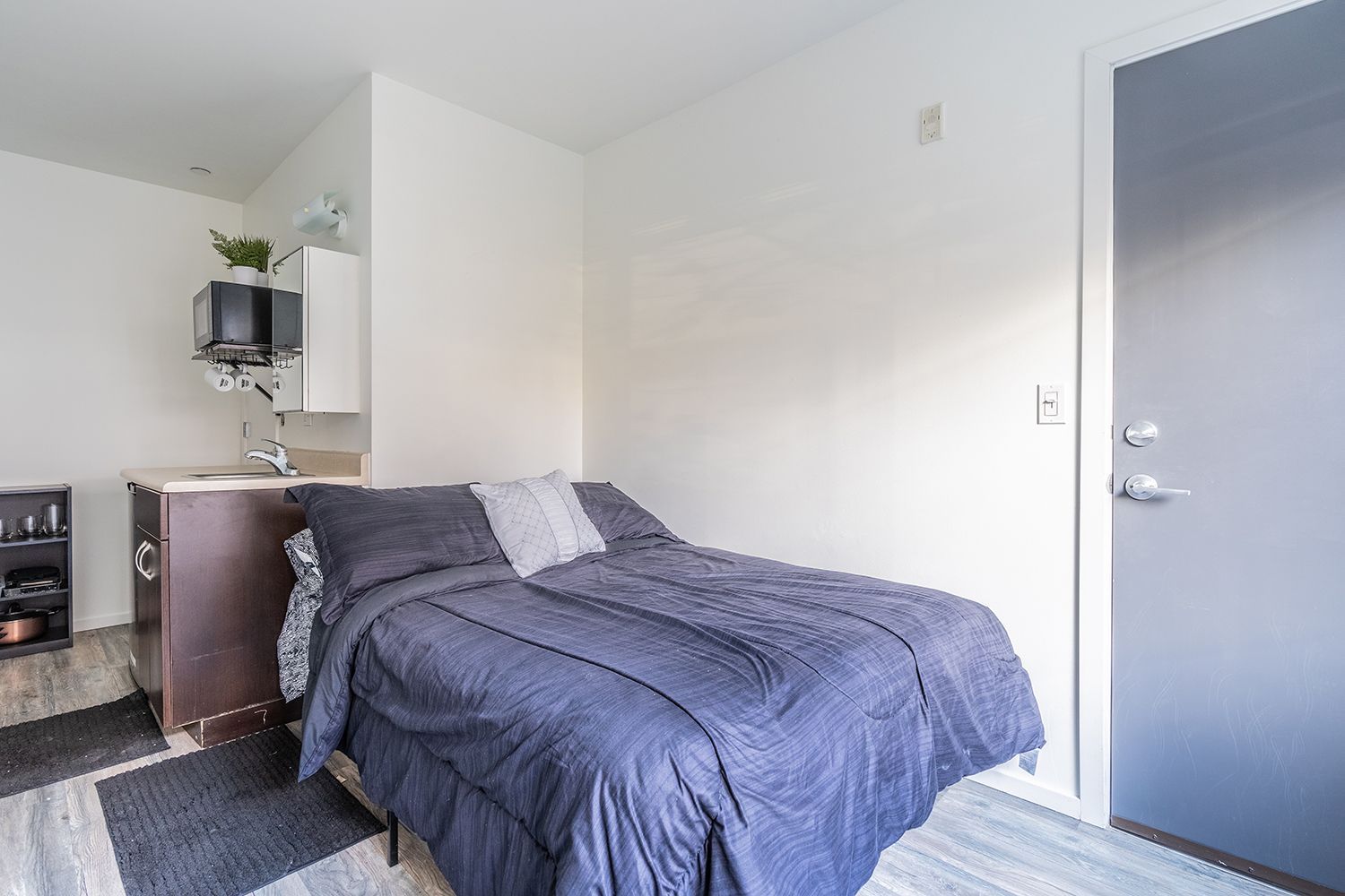 Seattle Property | Arboreal Management | WA