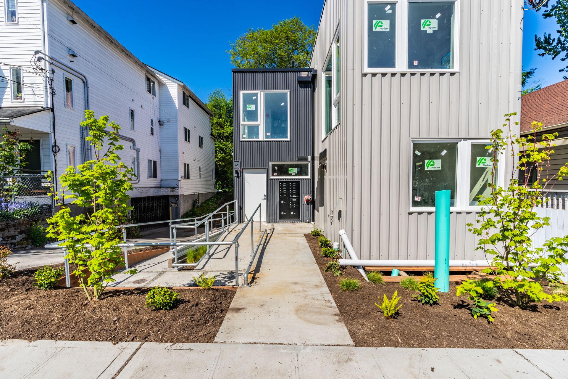 Seattle Property | Arboreal Management | WA