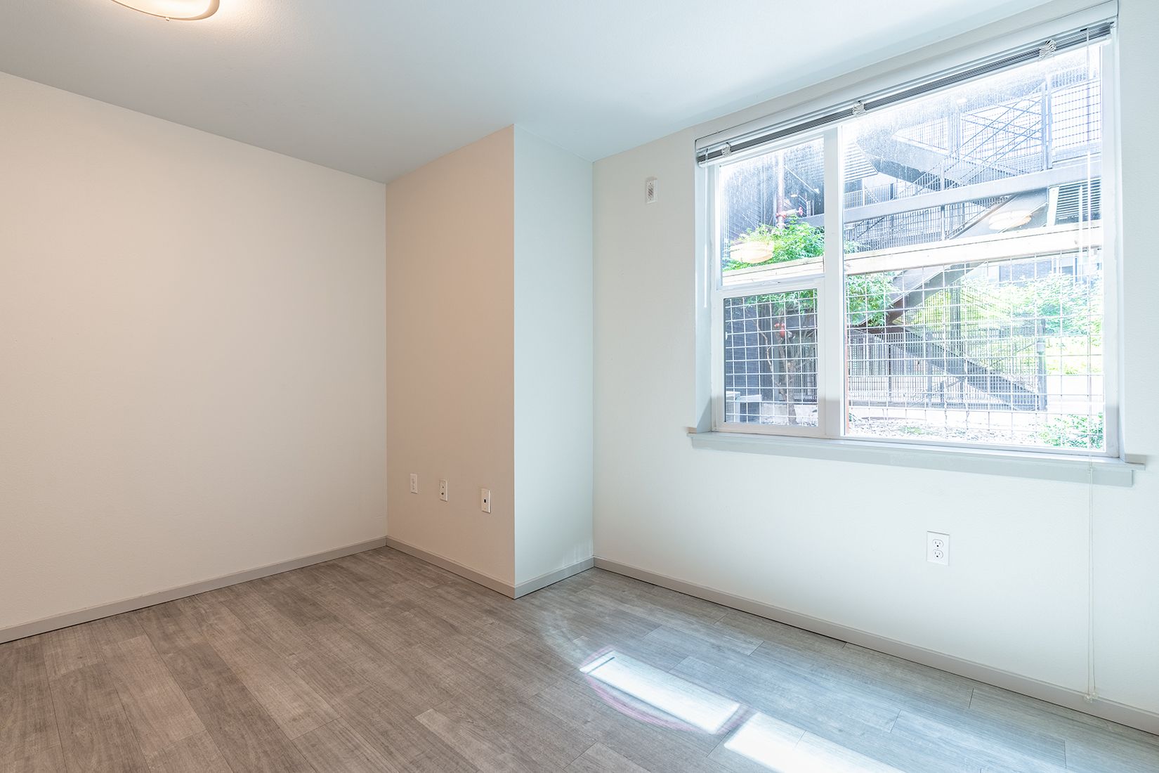 Seattle Property | Arboreal Management | WA