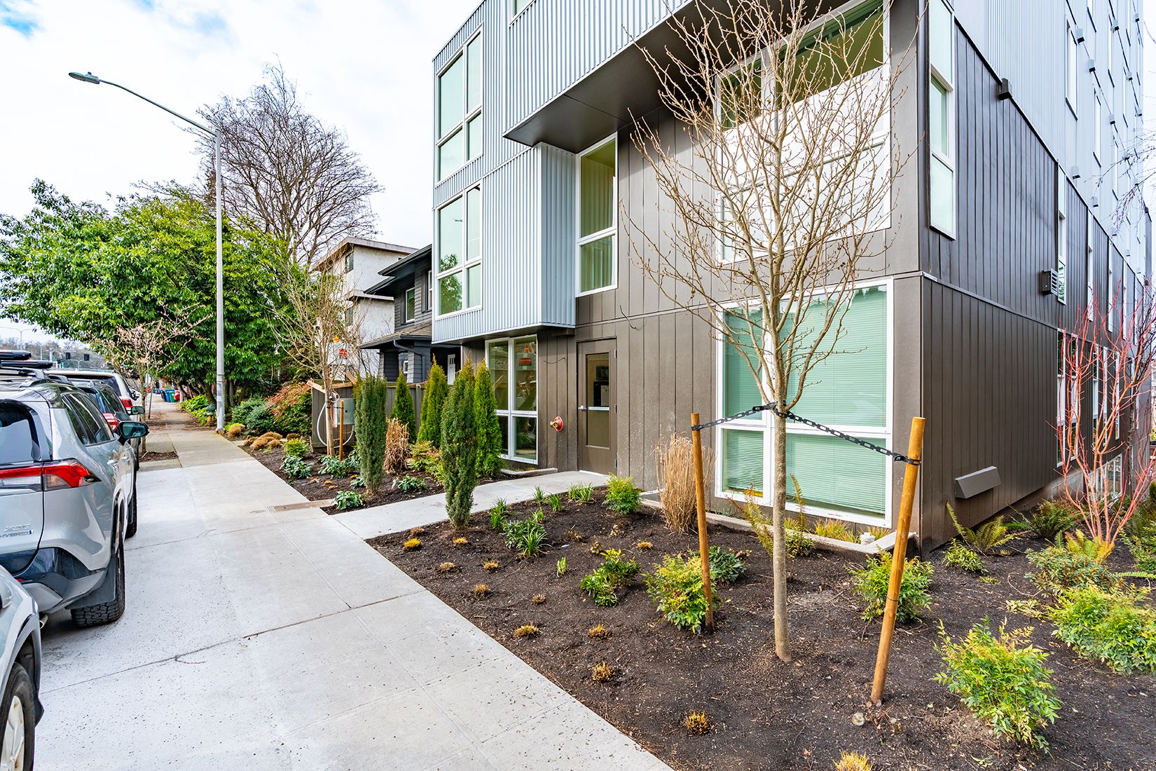 Seattle Property | Arboreal Management | WA