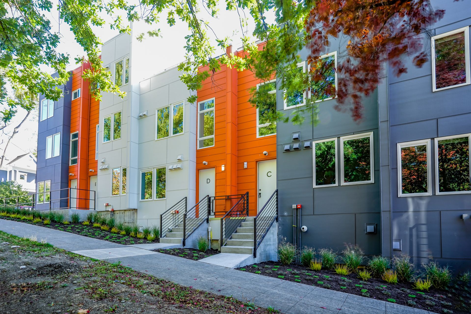 Seattle Property | Arboreal Management | WA