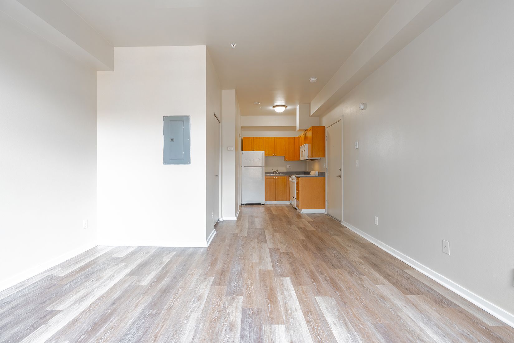 Seattle Property | Arboreal Management | WA