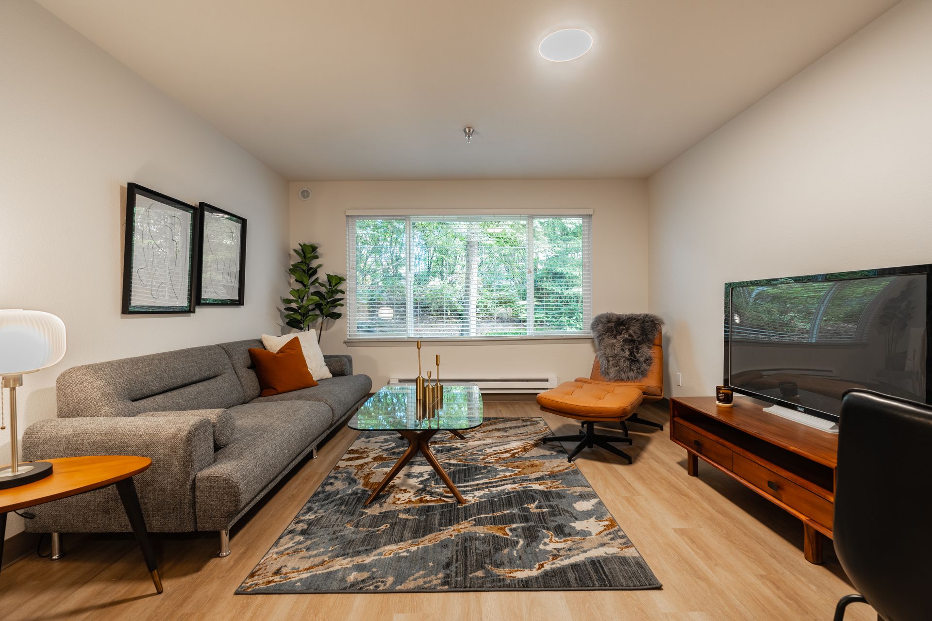 Seattle Property | Arboreal Management | WA