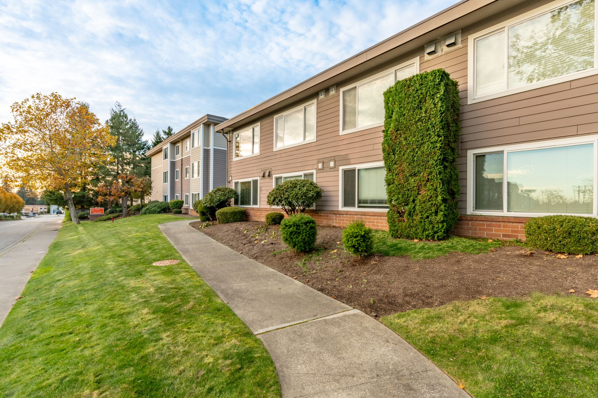 Seattle Property | Arboreal Management | WA