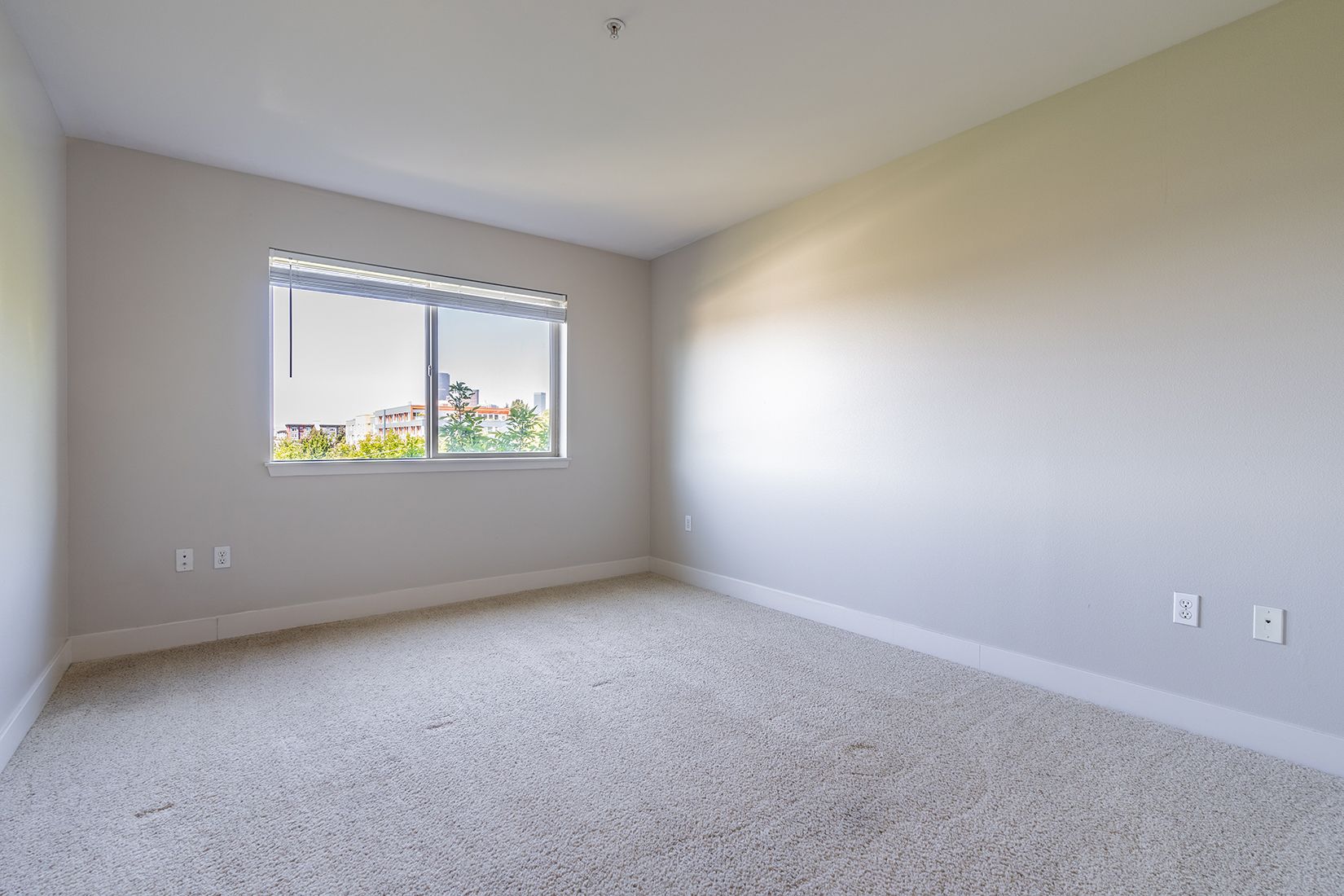 Seattle Property | Arboreal Management | WA