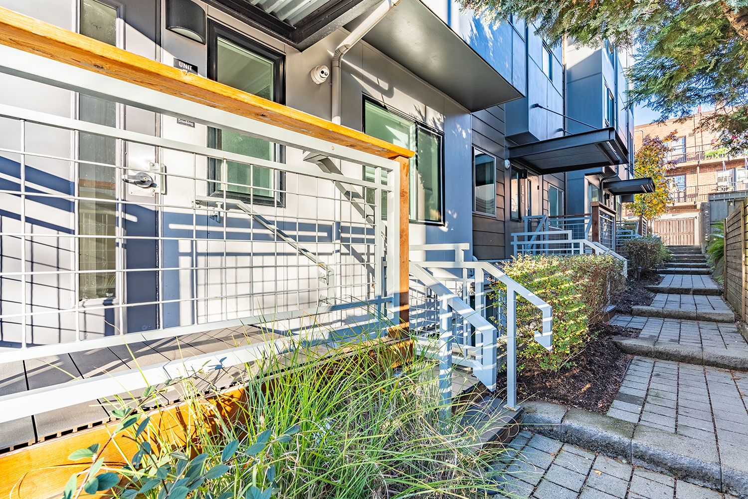 Seattle Property | Arboreal Management | WA