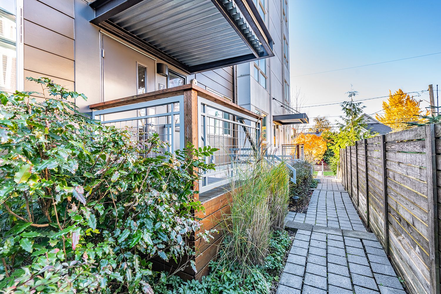 Seattle Property | Arboreal Management | WA