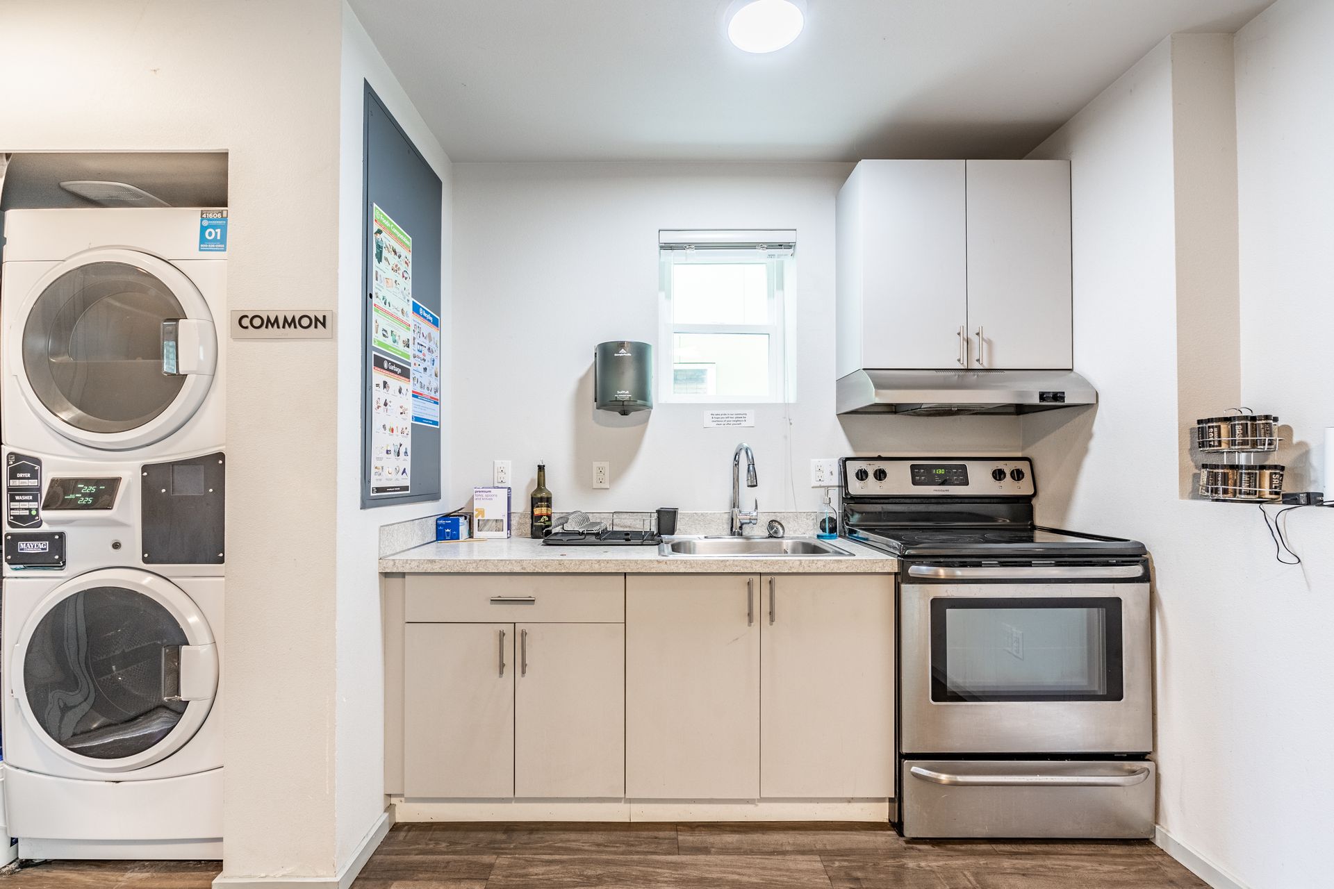 Seattle Property | Arboreal Management | WA