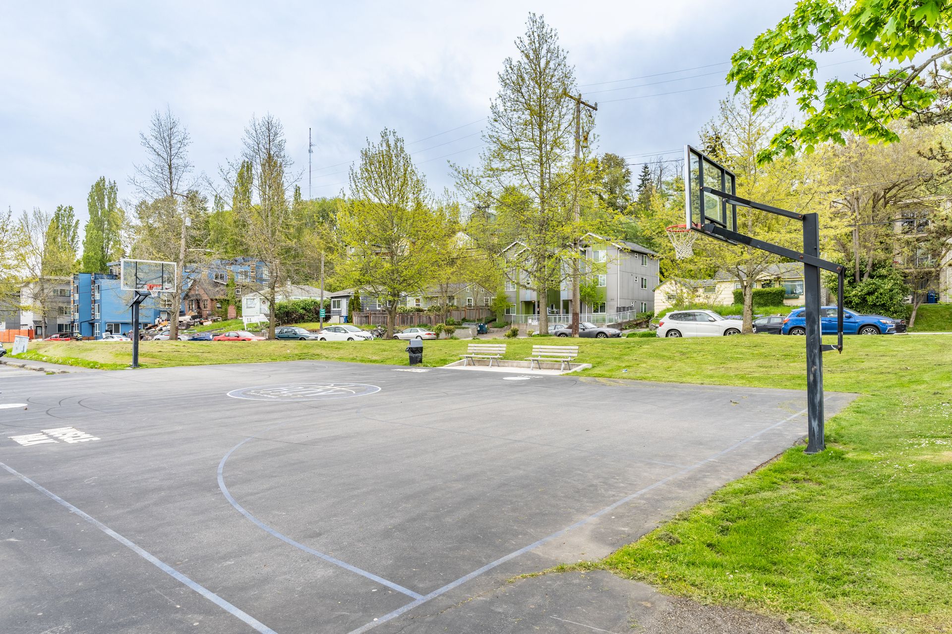 Seattle Property | Arboreal Management | WA