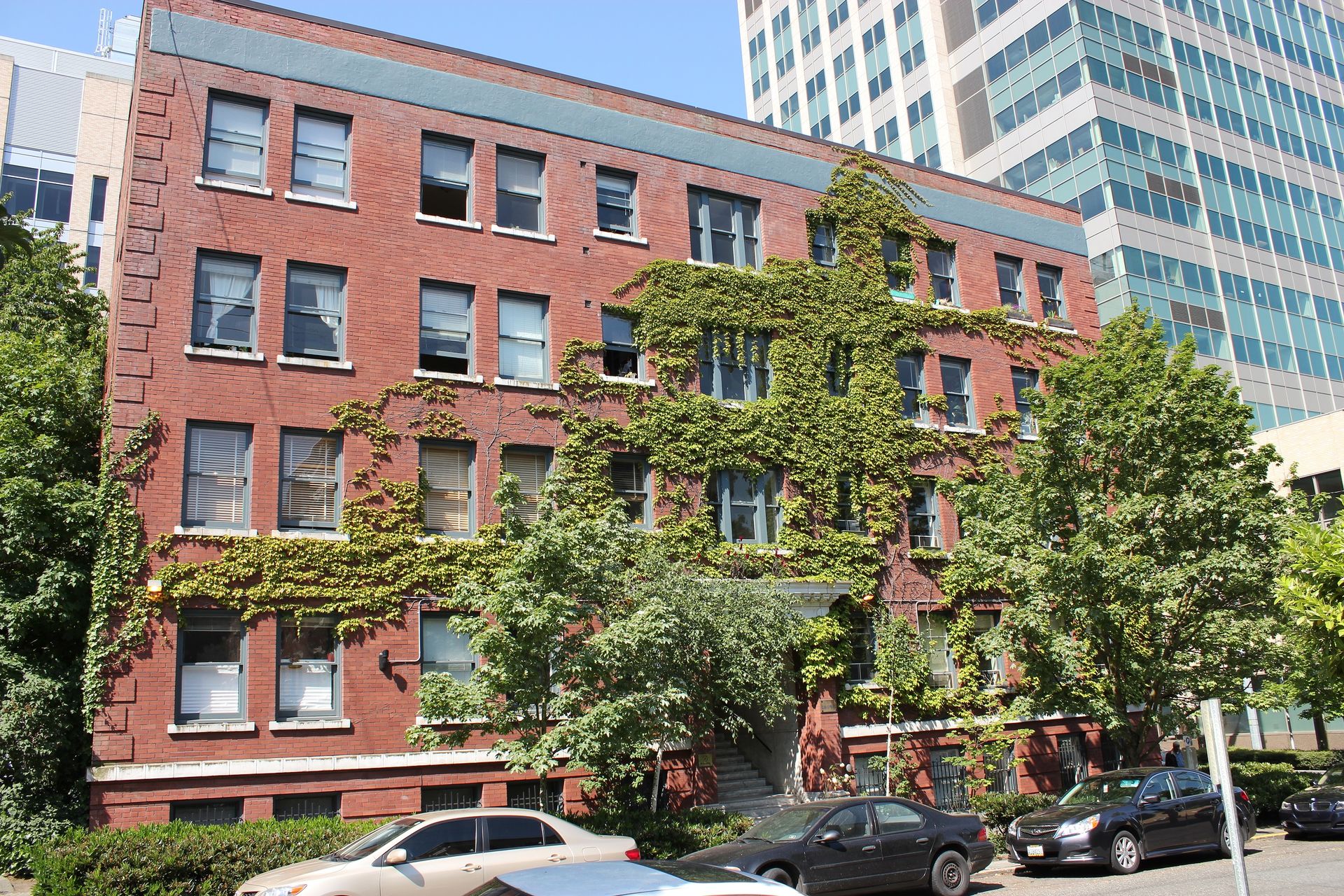 Seattle Property | Arboreal Management | WA