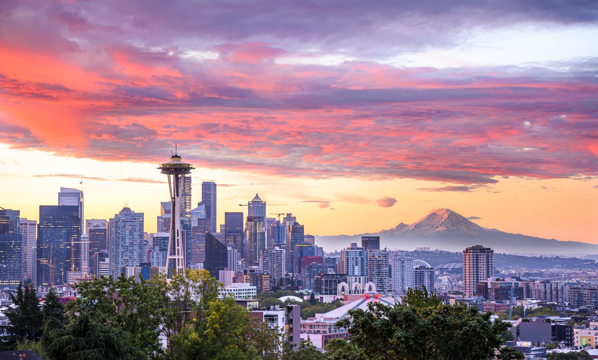 Home | Arboreal Management | WA