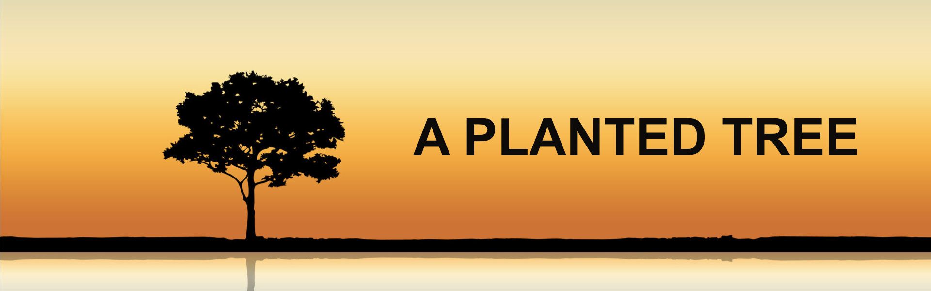 A PLANTED TREE