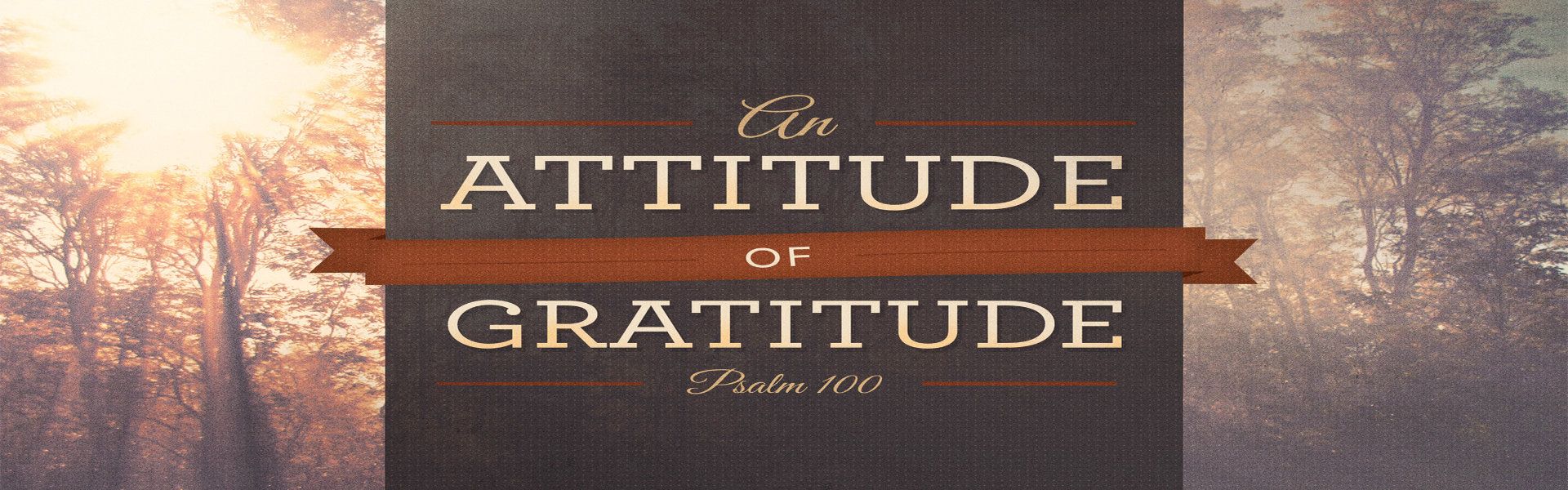 An Attitude of Gratitude