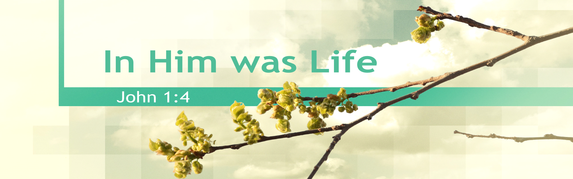 Jesus is the Source and Sustainer of all Life