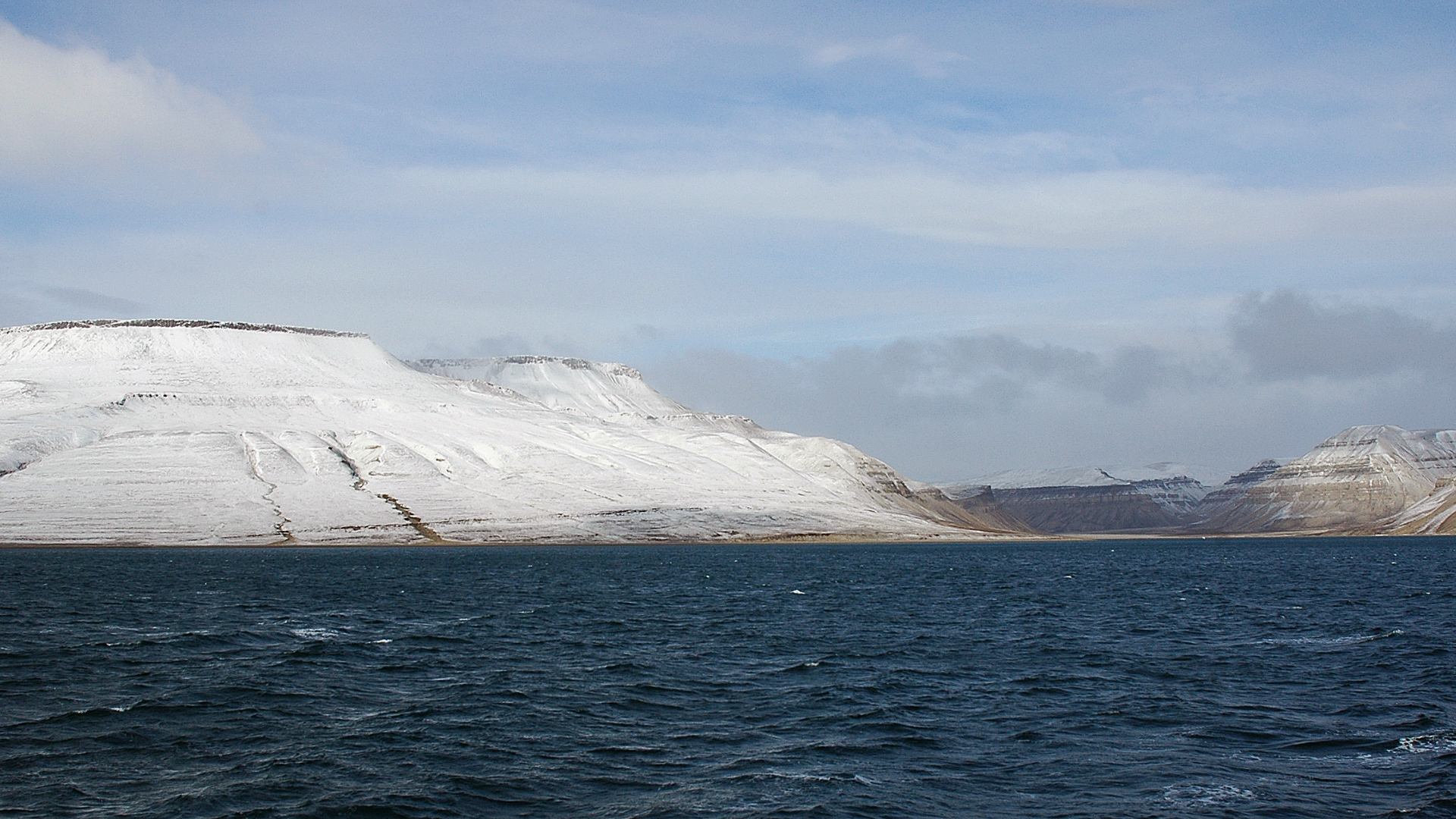 Svalbard: Most Spotted Animals in June