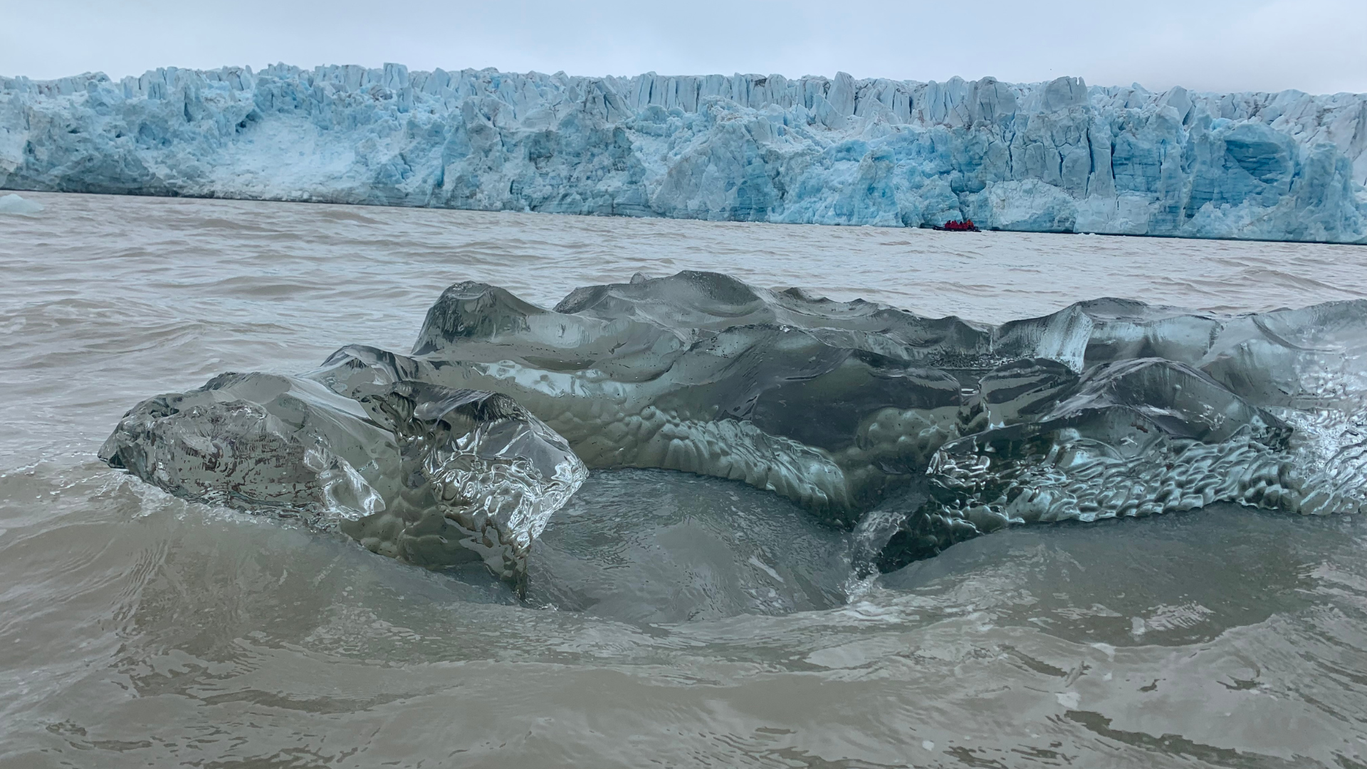 Svalbard Polar Bear Activities with the Highest Chances in October