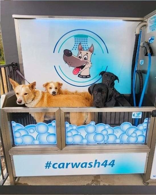 Dog Wash in Caboolture | Carwash 44 - Caboolture