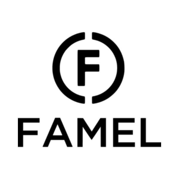 Join us in exploring FAMEL's journey from classic mopeds to modern ...