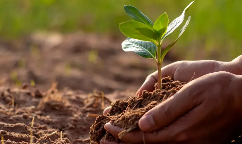 10 Reasons Why Soil Is The Most Important Natural Resource