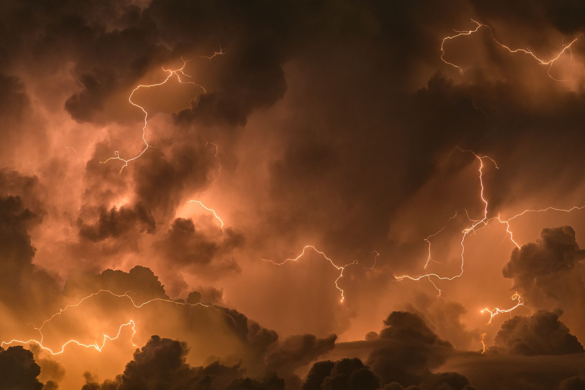 New York Natural Disaster Insurance (Start Your Quote)