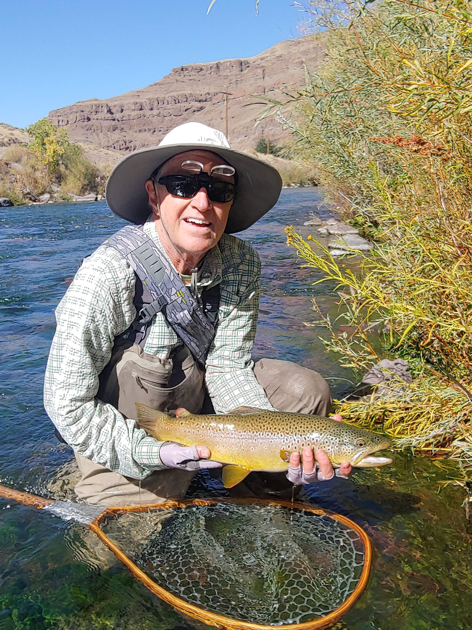 Home [www.dreamsonthefly.com]