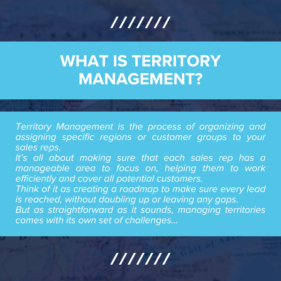 Effortless Territory Management with Canvassing Software