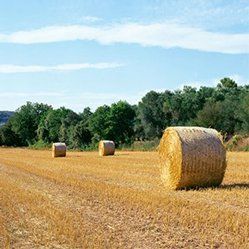 Experienced Lawyers | Austin, MN | Adams, Rizzi & Sween P.A.