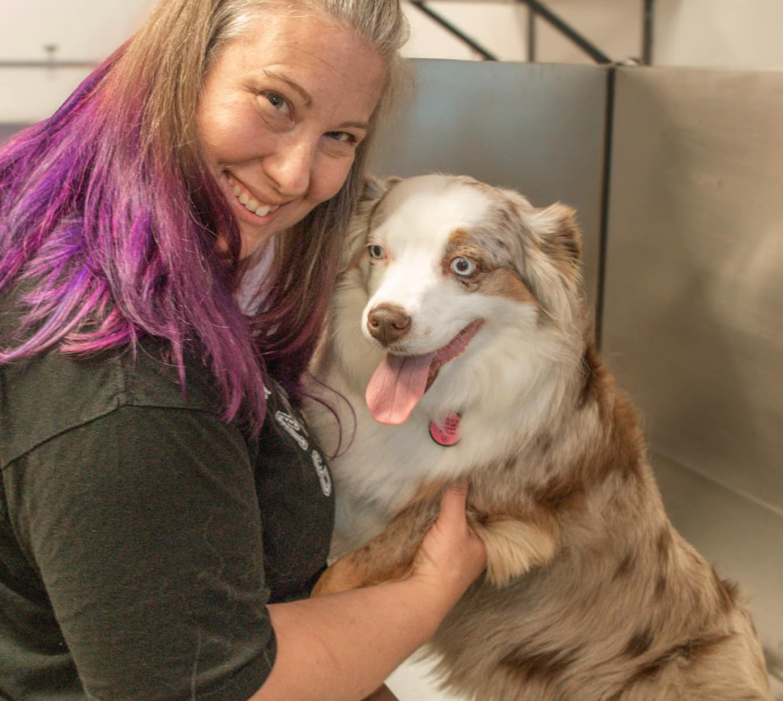 Dog Grooming Portland Maine