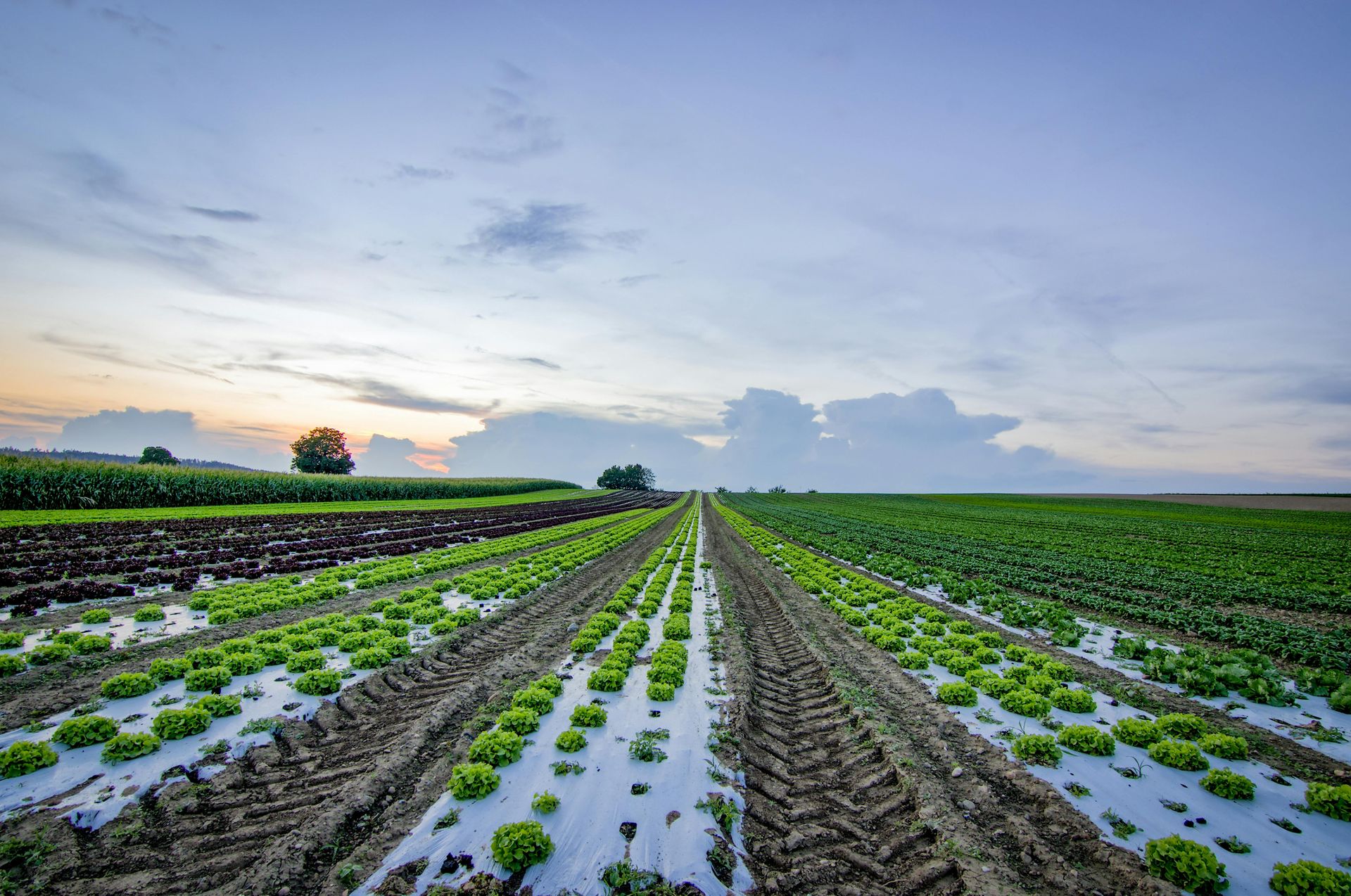 Big Sky Irrigation | Billings MT