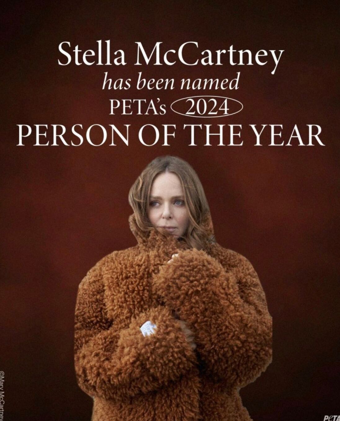 Descubra o Marketing de Luxo - Fabi Tronolone