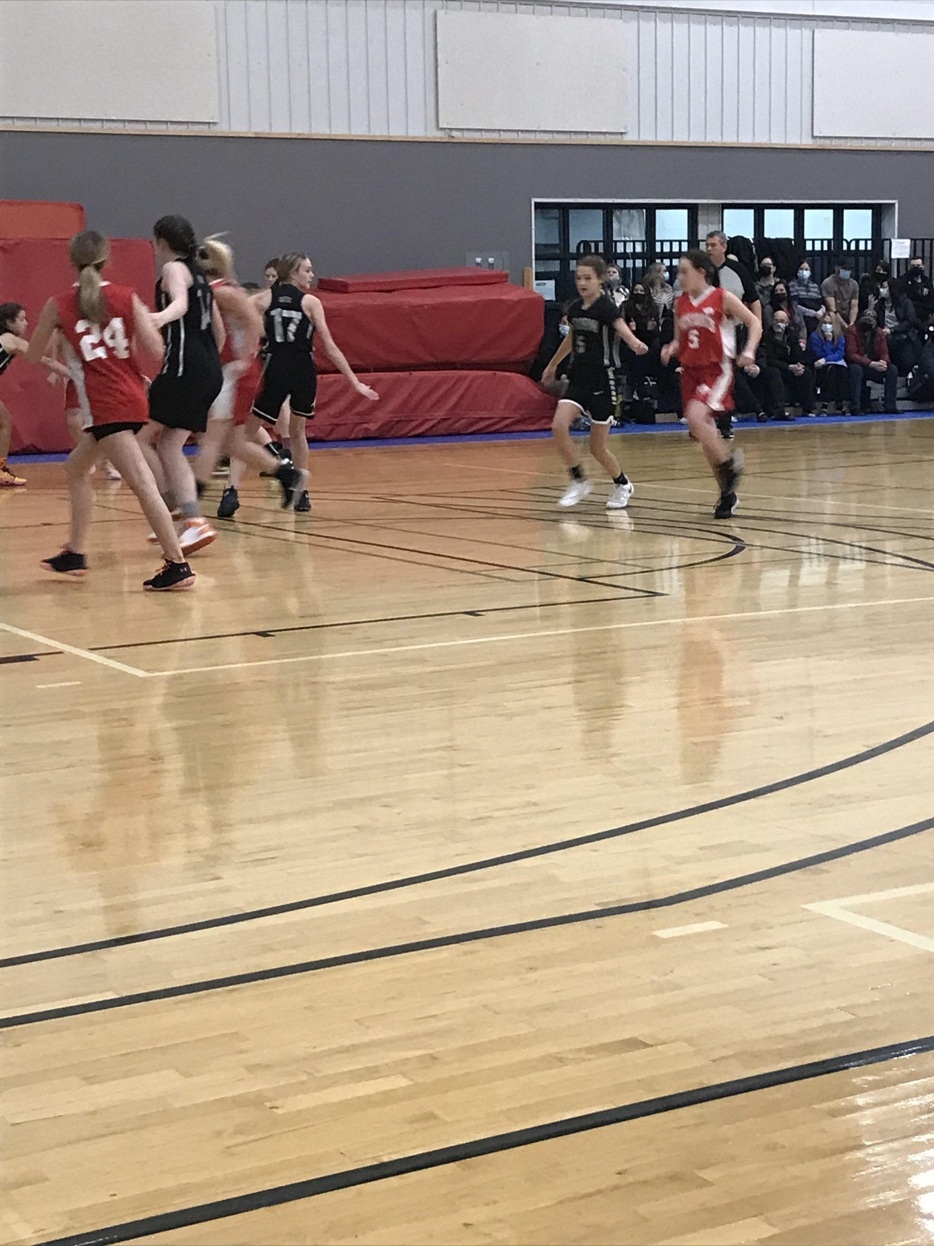 Newfoundland Labrador Basketball Association (NLBA)