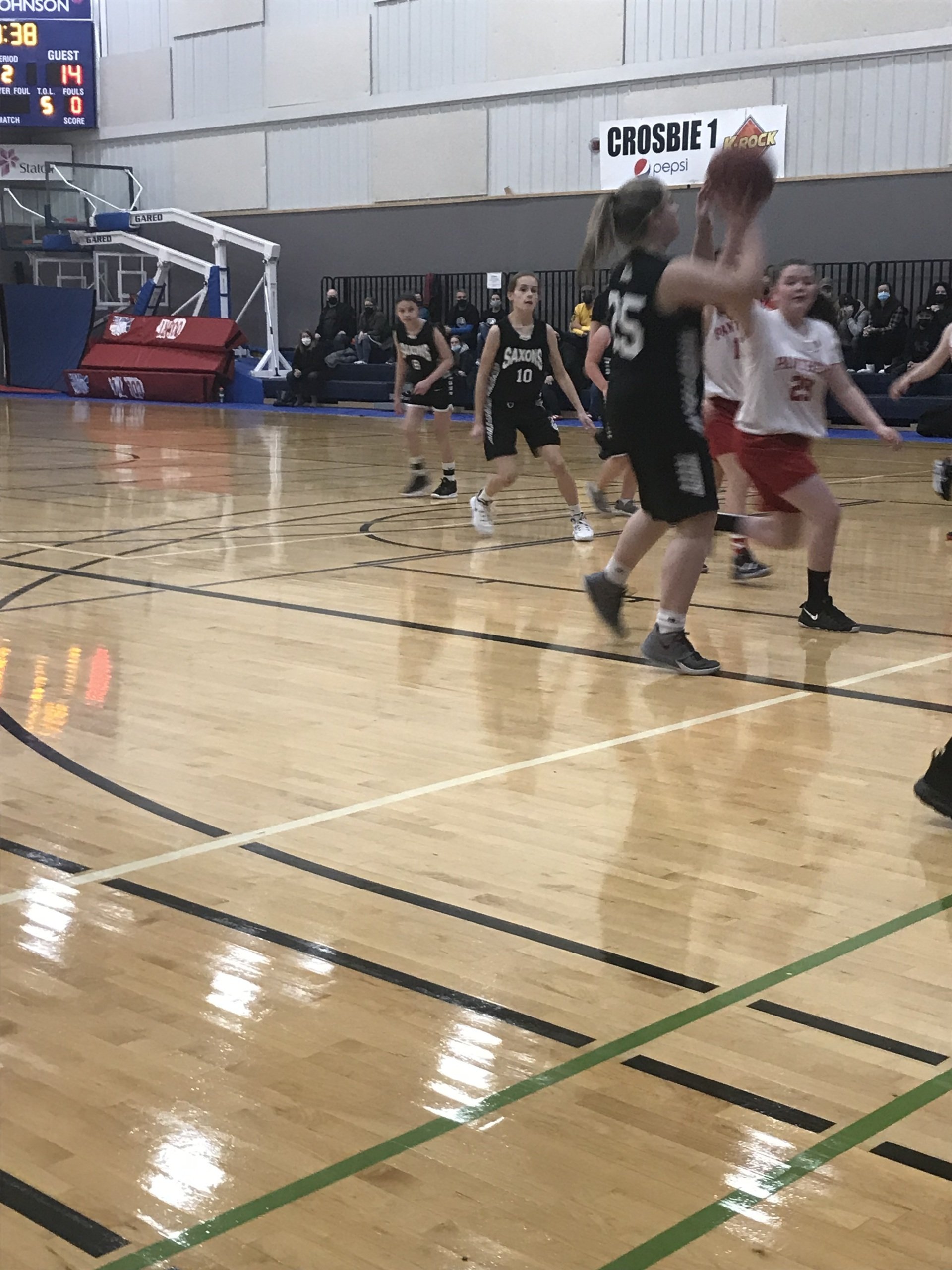 Newfoundland Labrador Basketball Association (NLBA)