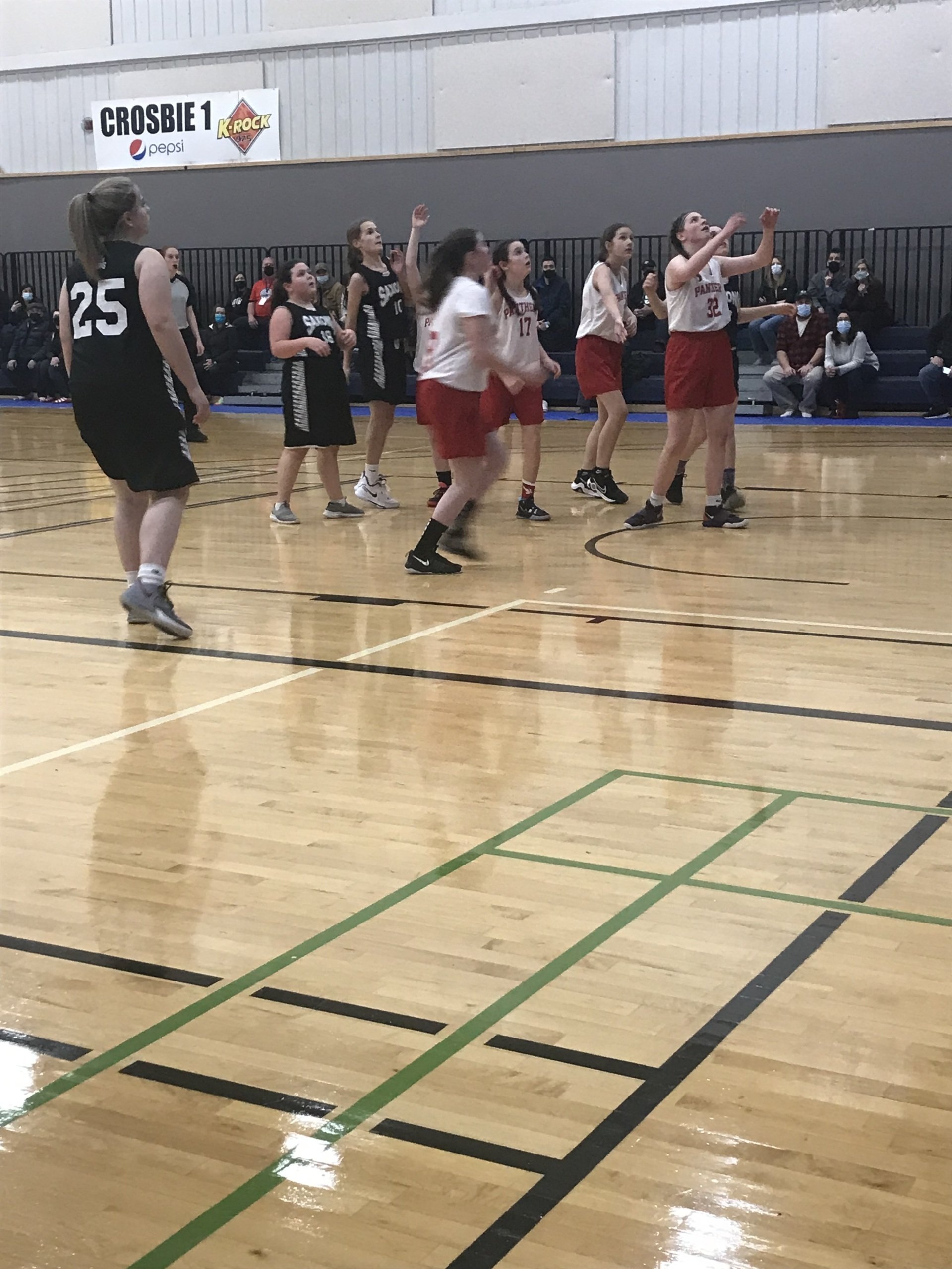 Newfoundland Labrador Basketball Association (NLBA)